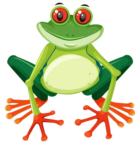 Red Eyed Tree Frogs Jumping Clipart