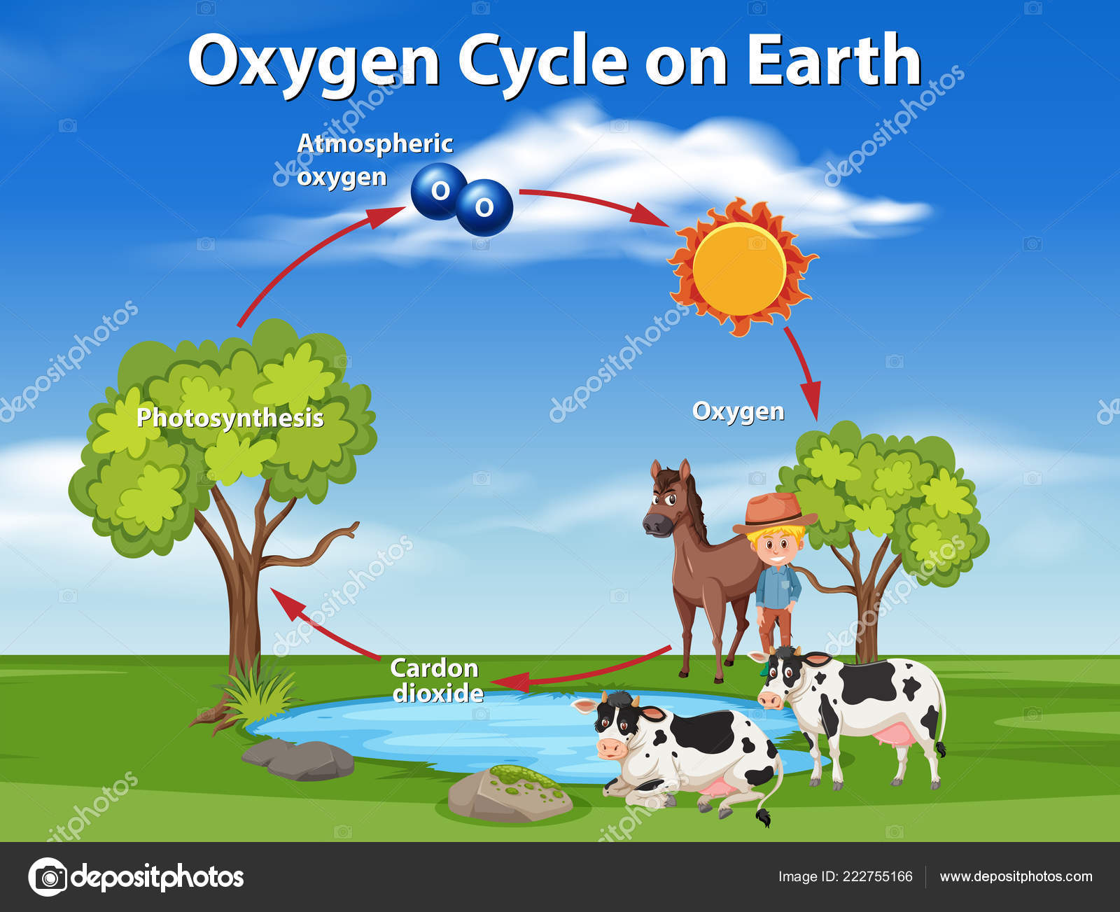 Desarrollo Sustentable Ciclo De Oxigeno Images