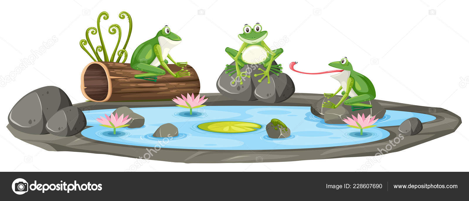 Frog Pond Clipart
