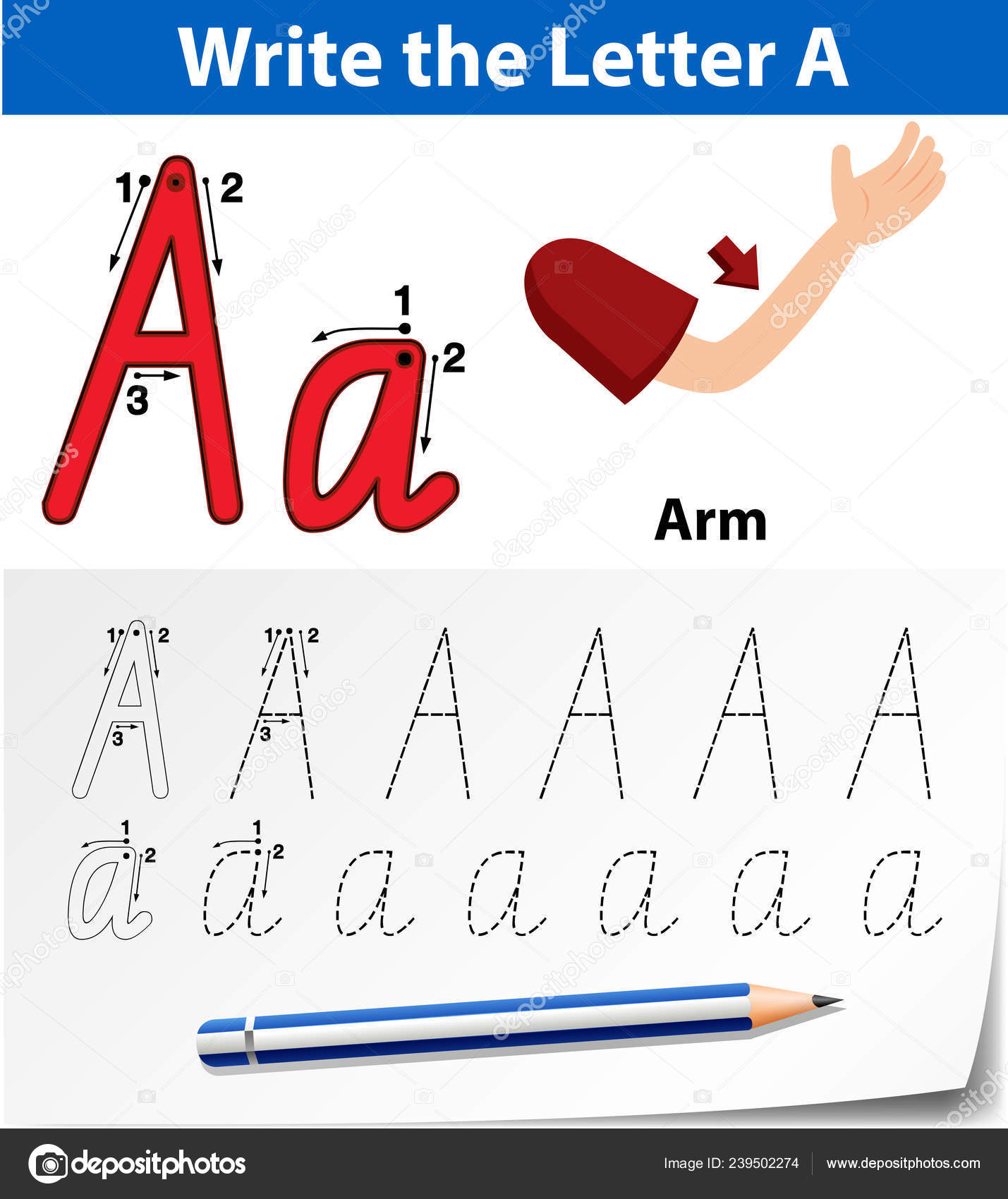 Letra Una Ilustración Hojas Trabajo Alfabeto Trazado Vector de stock ...