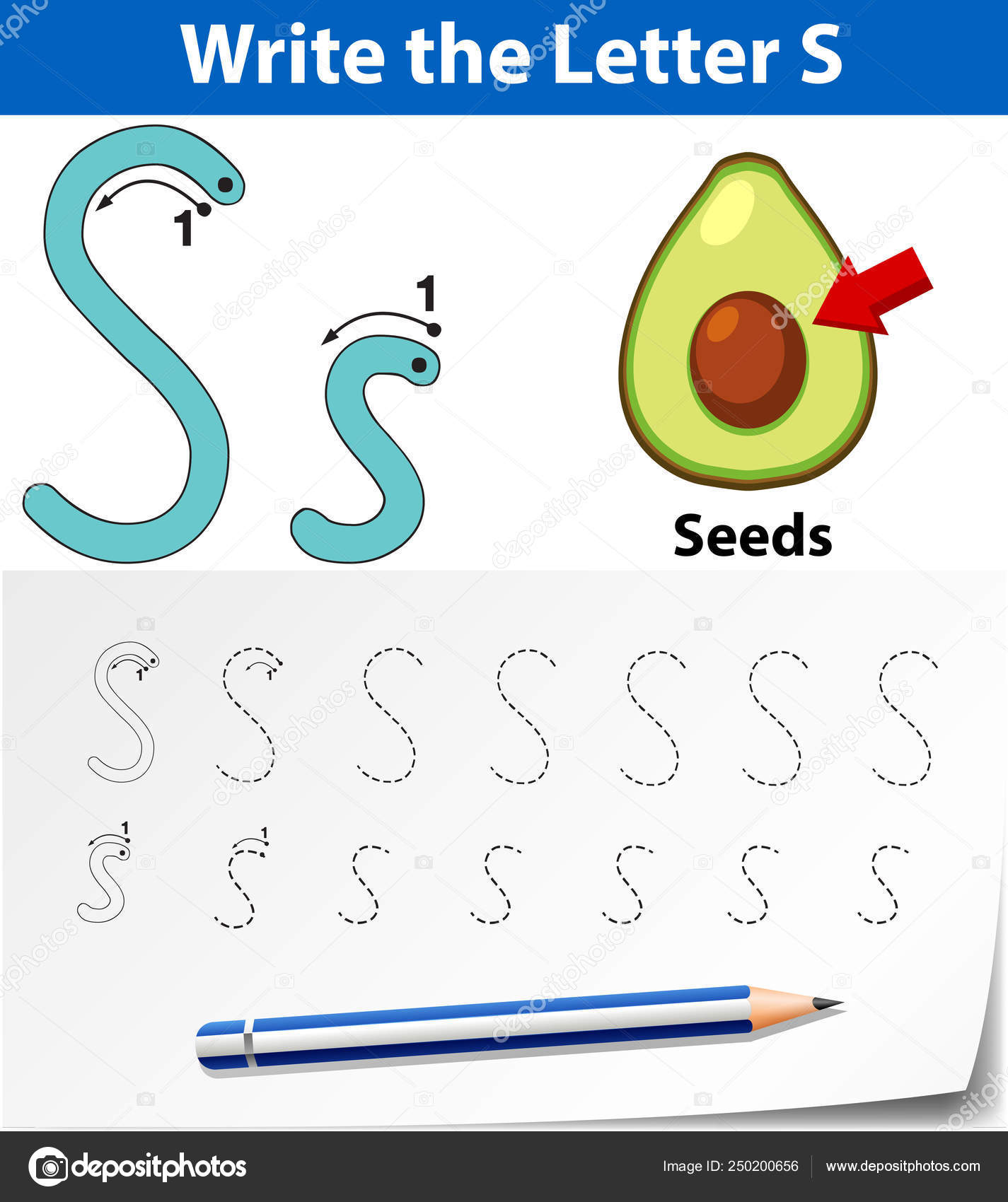 Hojas de trabajo del alfabeto de seguimiento de la letra S Vector de ...