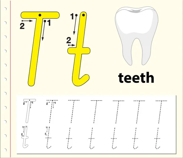 100,000 Baby teeth chart Vector Images | Depositphotos
