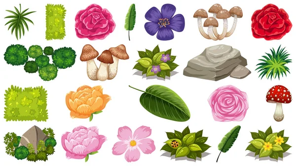 Large set of nature objects Stock Vector by ©brgfx 279036906