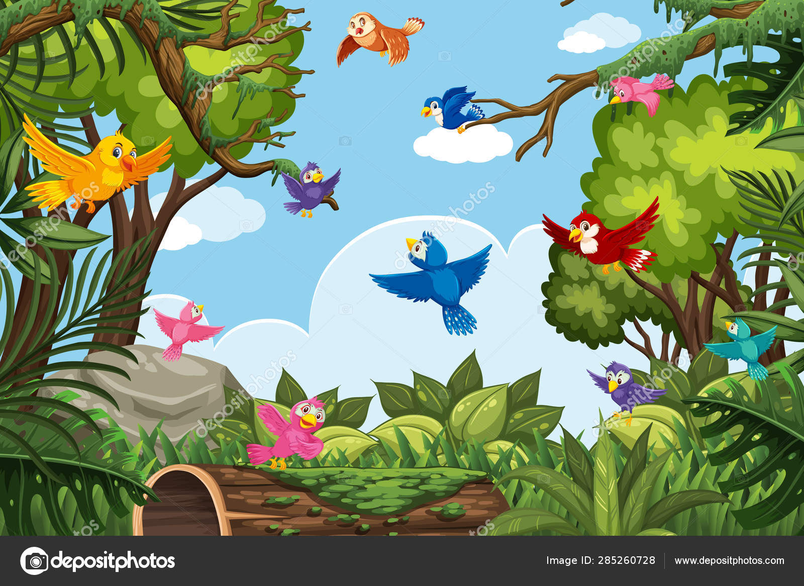 Jungle Vogels Clipart Catchii Circle Flamingo Jungle Stories