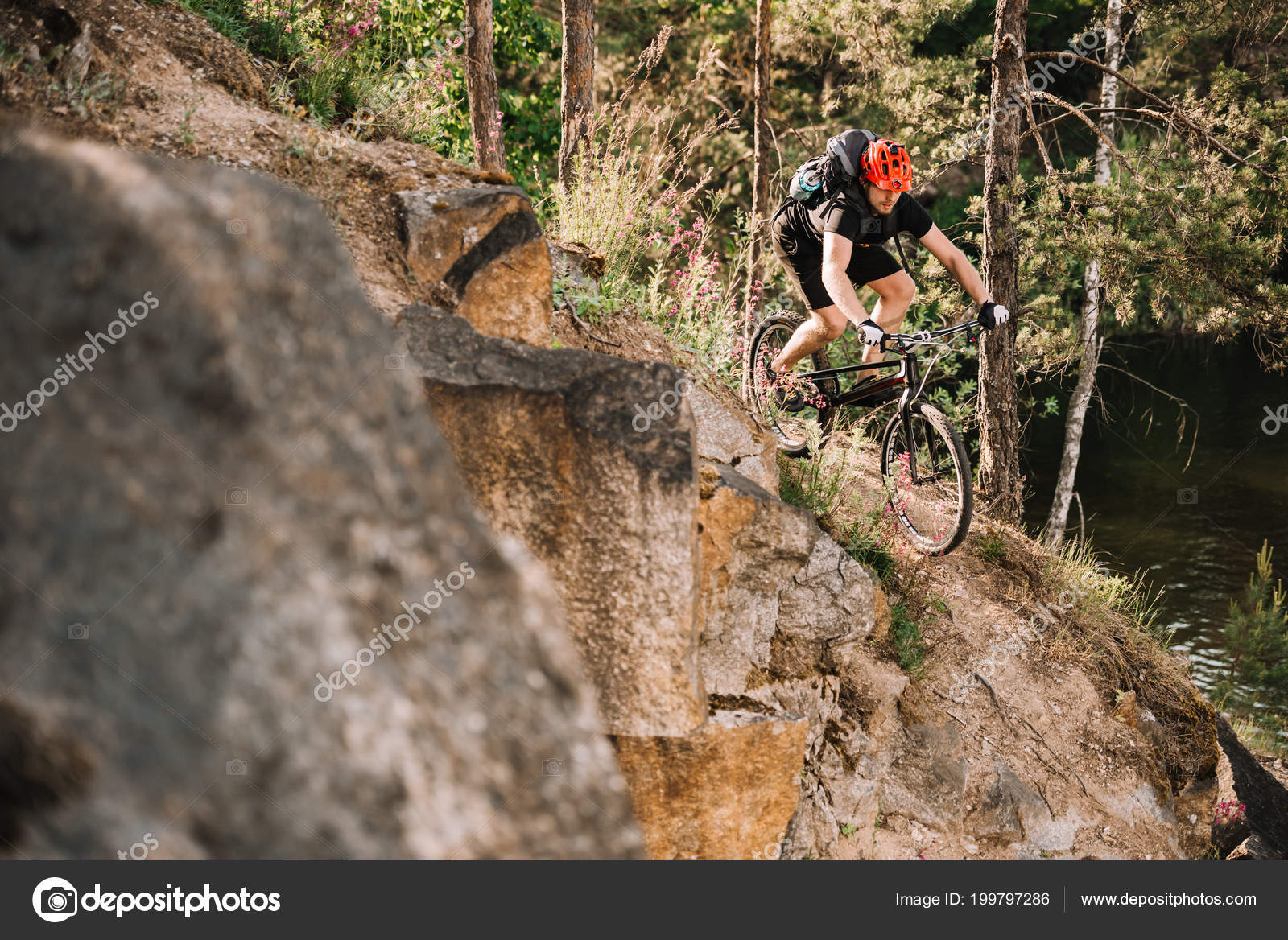 Young Trial Biker Riding Downhill Outdoors Pine Forest Stock Photo by ...