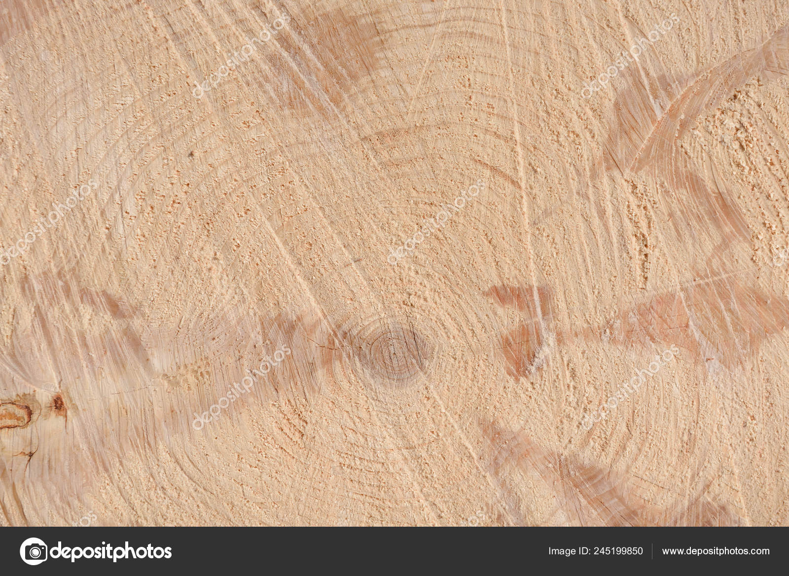 Texture End Tree Saw Cut Wood Close Rough Wood Floors — Stock Photo ...