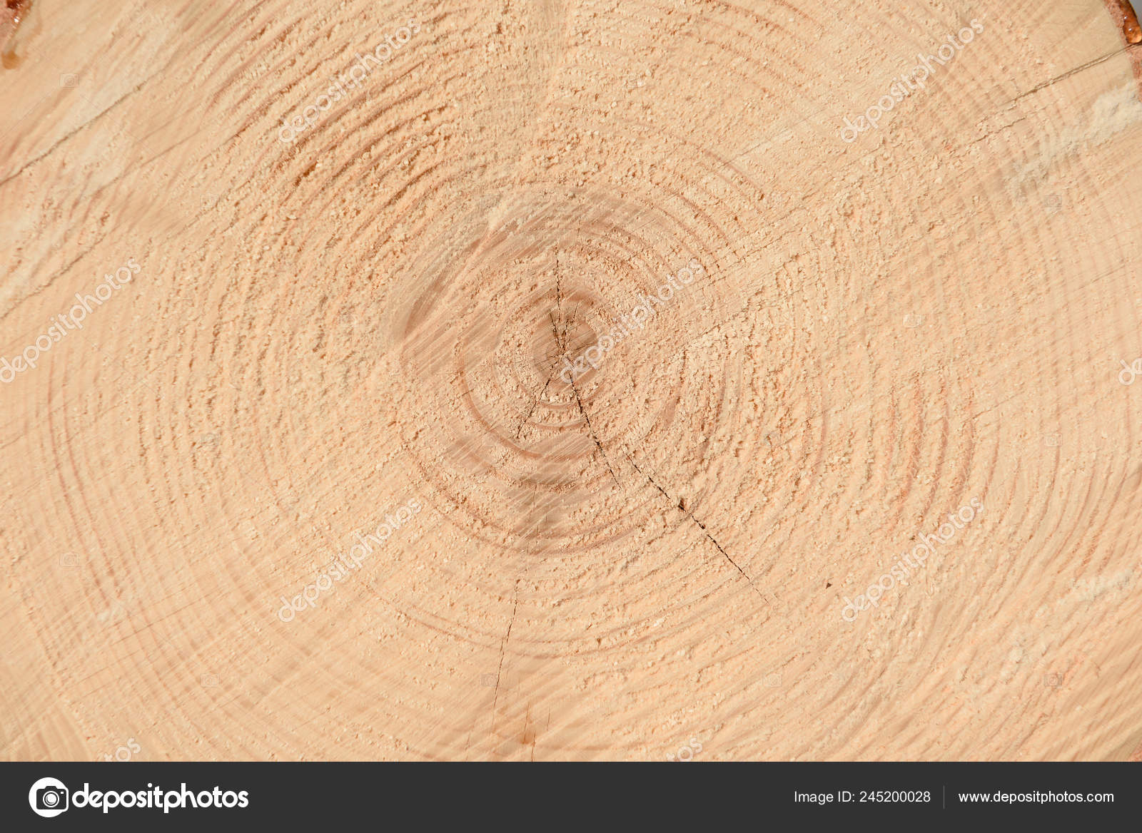 Texture End Tree Saw Cut Wood Close Rough Wood Floors — Stock Photo ...