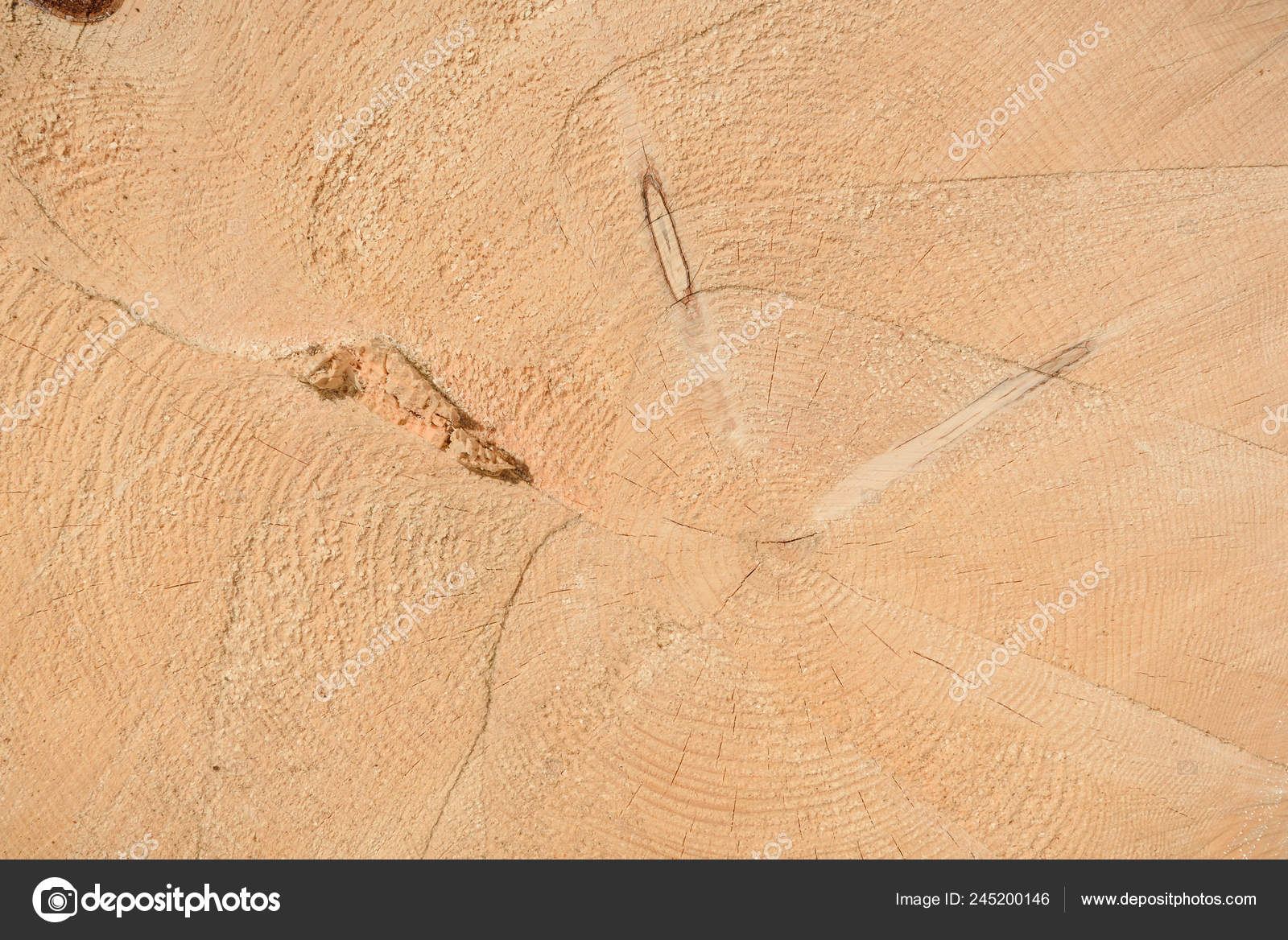 Texture End Tree Saw Cut Wood Close Rough Wood Floors — Stock Photo ...