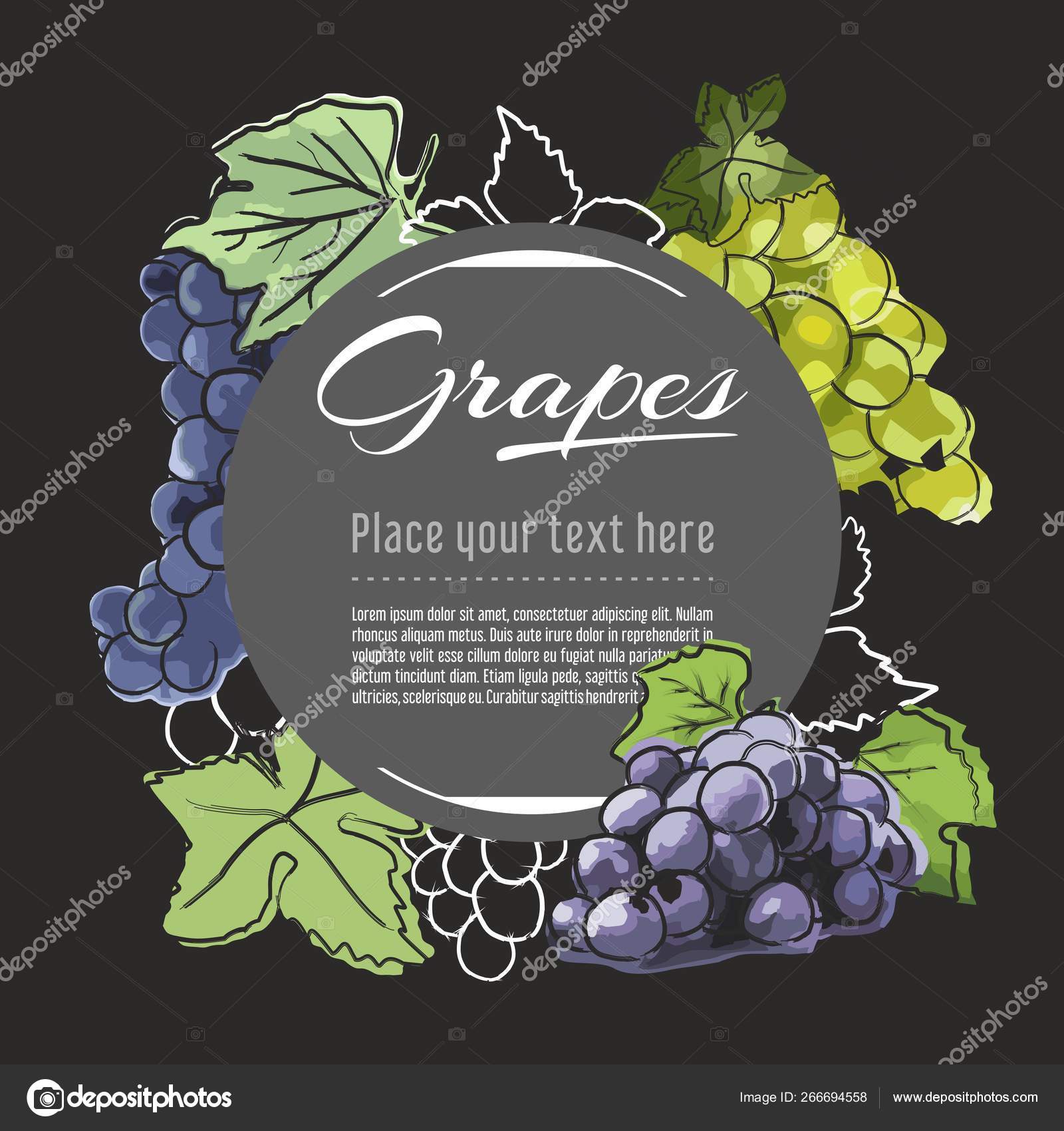 Grapes Vector Hand Drawn Healthy Food Illustration Fruit Design Sketch ...