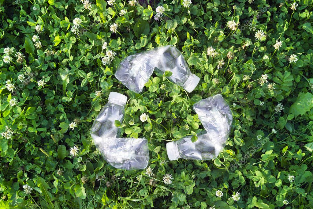 En el c sped verde hierba con flores de tr bol hay basura: botellas de pl stico arrugadas en la ...