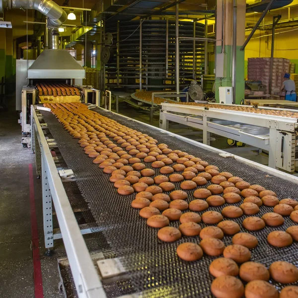 Automatic bakery production line with sweet cookies on conveyor belt ...
