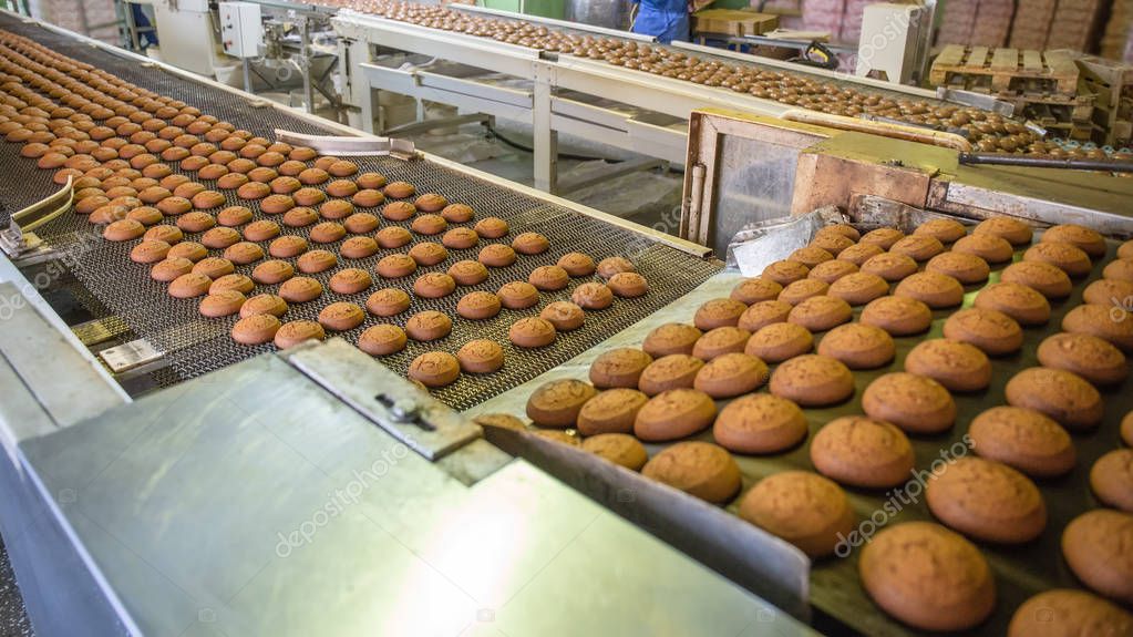 Línea de producción de galletas para hornear. Galletas en cinta transportadora en fábrica de ...