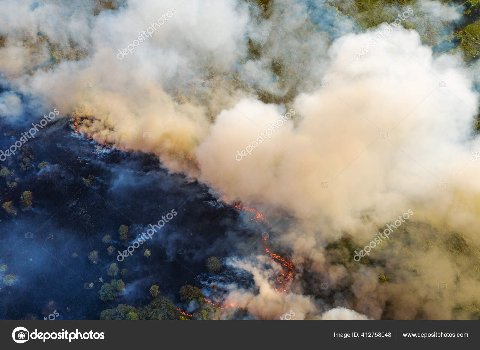 Smoke and flame nature forest fire in after dry season, aerial top view ...