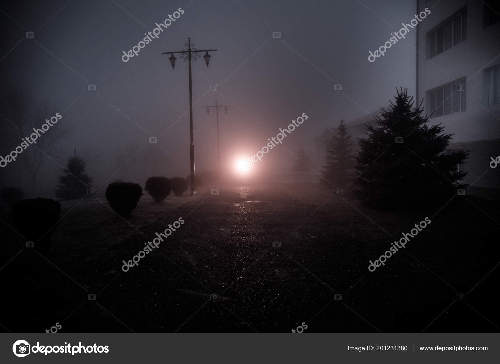 Dense Fog At Night