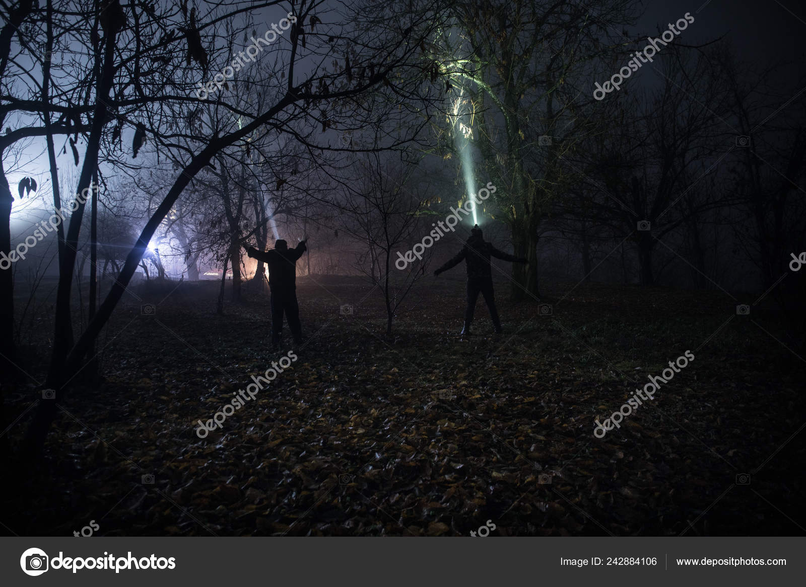 Flashlight In The Dark Woods