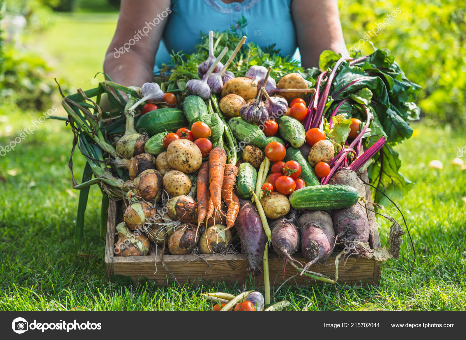 Farm Vegetables