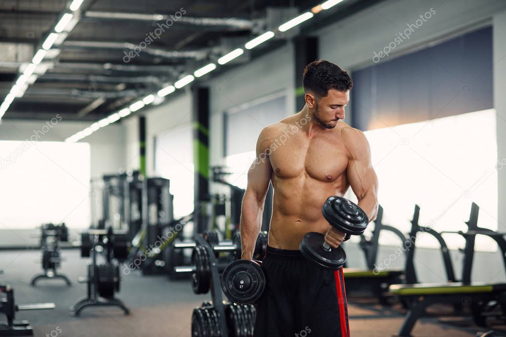 Atractivo hombre de fitness con el torso desnudo haciendo ejercicio con pesas durante el ...