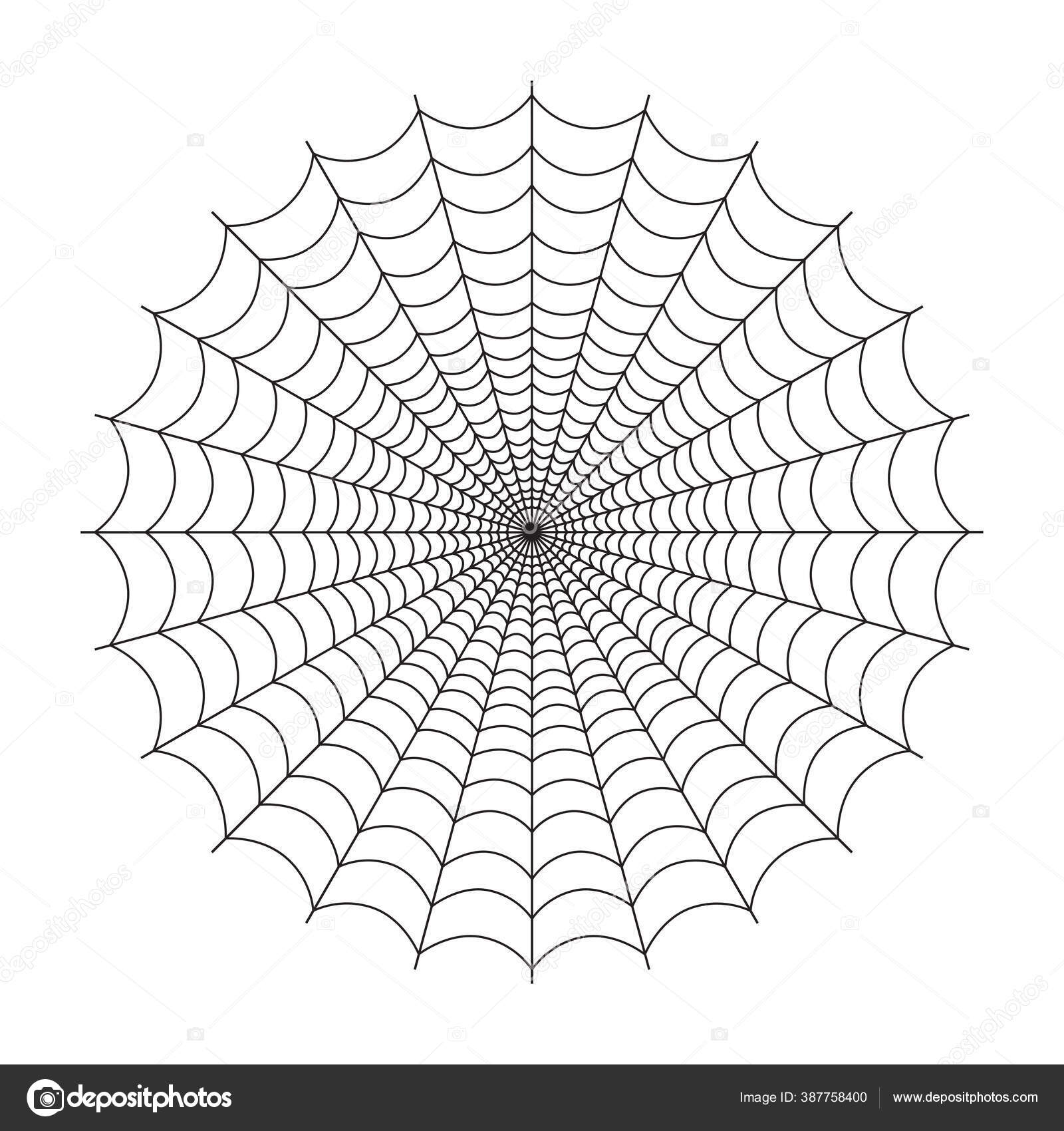 Simple spider web Stock Vector Image by ©rioabajorio #387758400