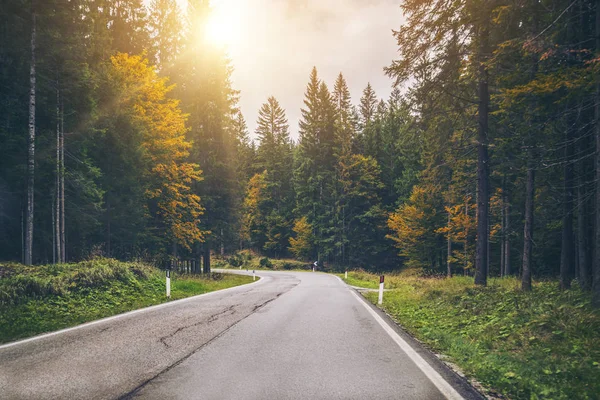 Beautiful Mountain Road Trees Forest Mountains Backgrounds Taken State ...