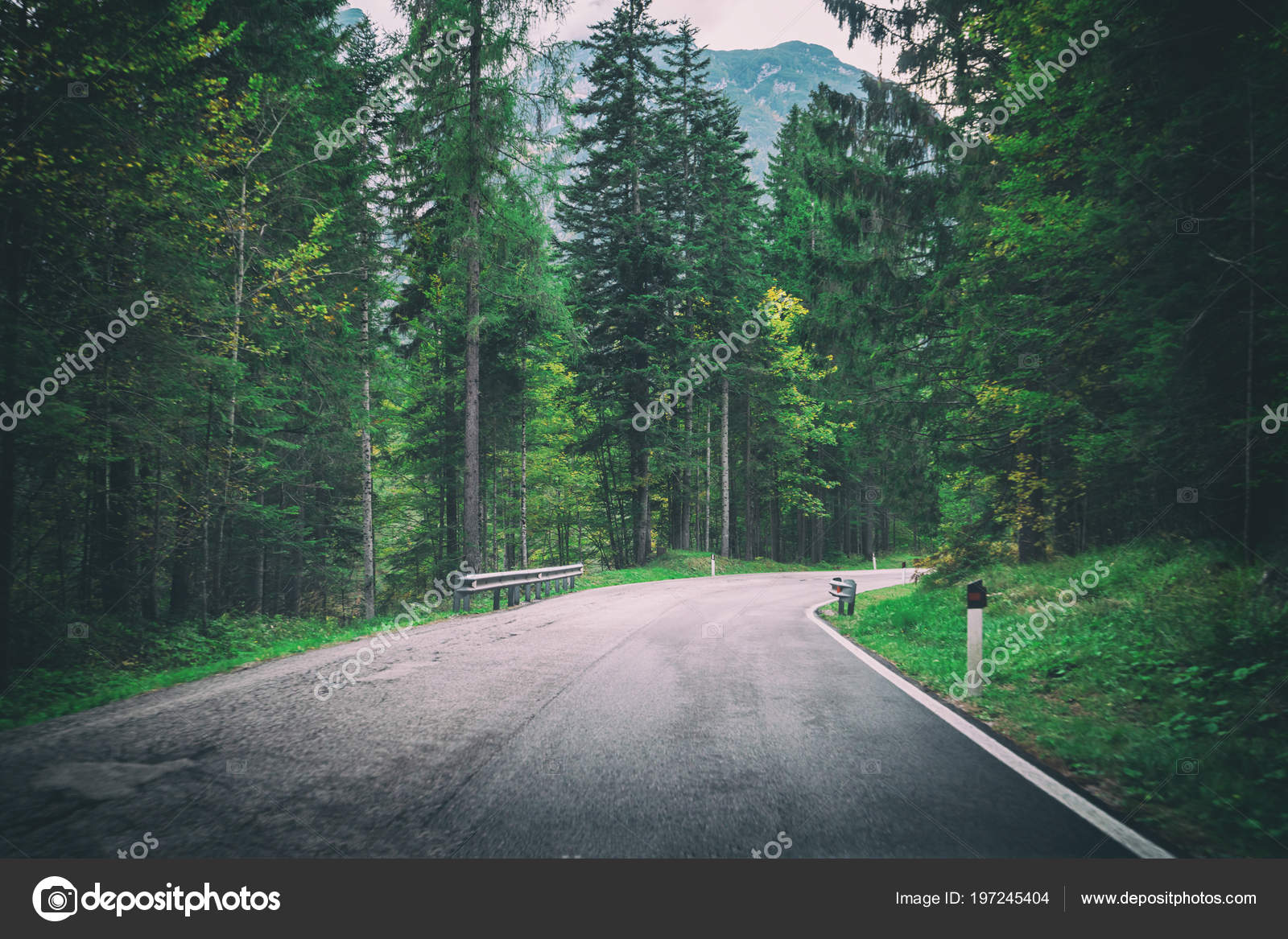Beautiful Mountain Road Trees Forest Mountains Backgrounds Taken State ...