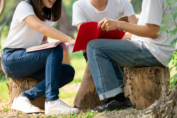 Team of young students studying in the park. - Stock Image - Everypixel